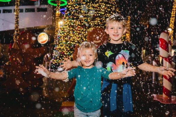 Snow-FX: Winter Wonderland Events & Special Effects